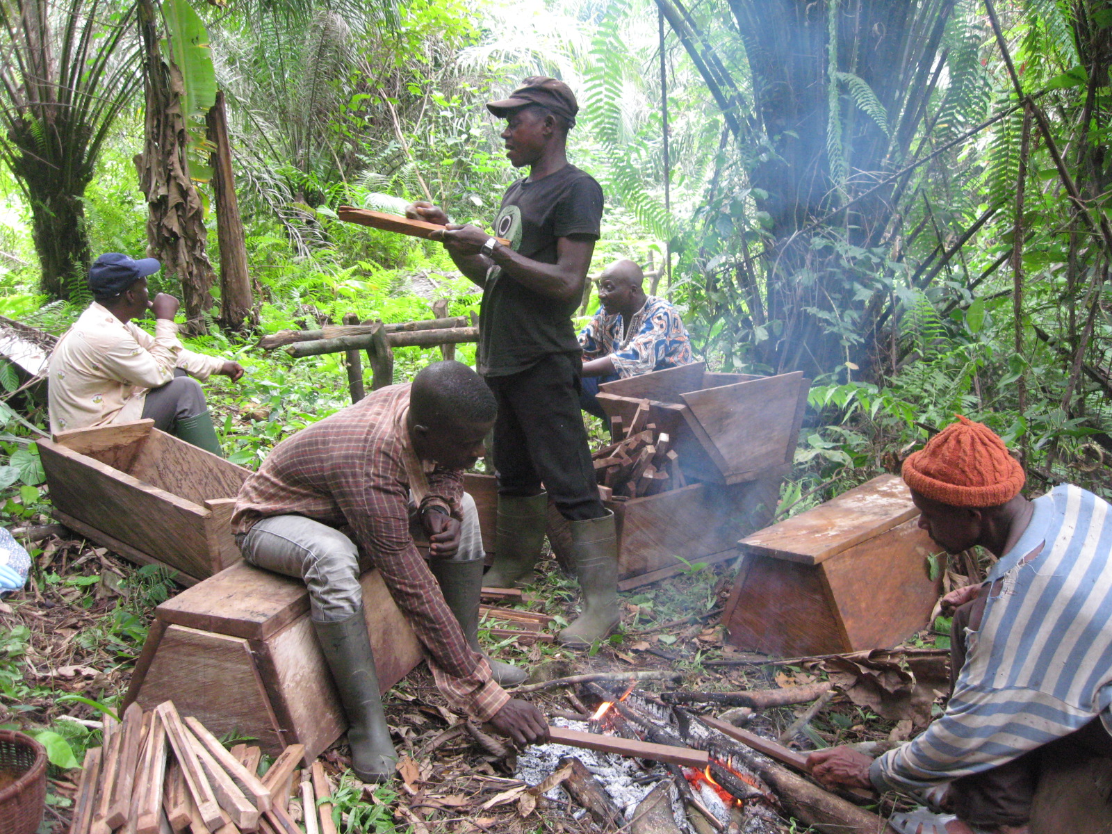 Bee Keeping in UK and Africa: Trying to attract bees to the rainforest ...